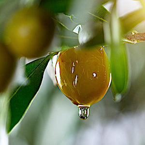 MOST LOVED 6-PACK - KINGSTON OLIVE OIL COMPANY